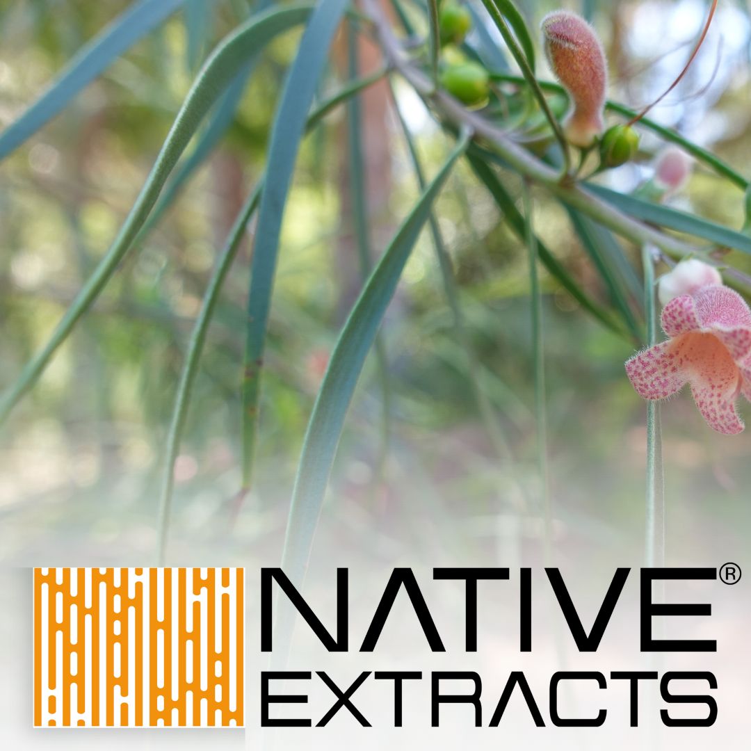 Emu Bush Cellular Extract | Native Antioxidant & Skin Protectant – NAP – NATURALLY AUSTRALIAN ...