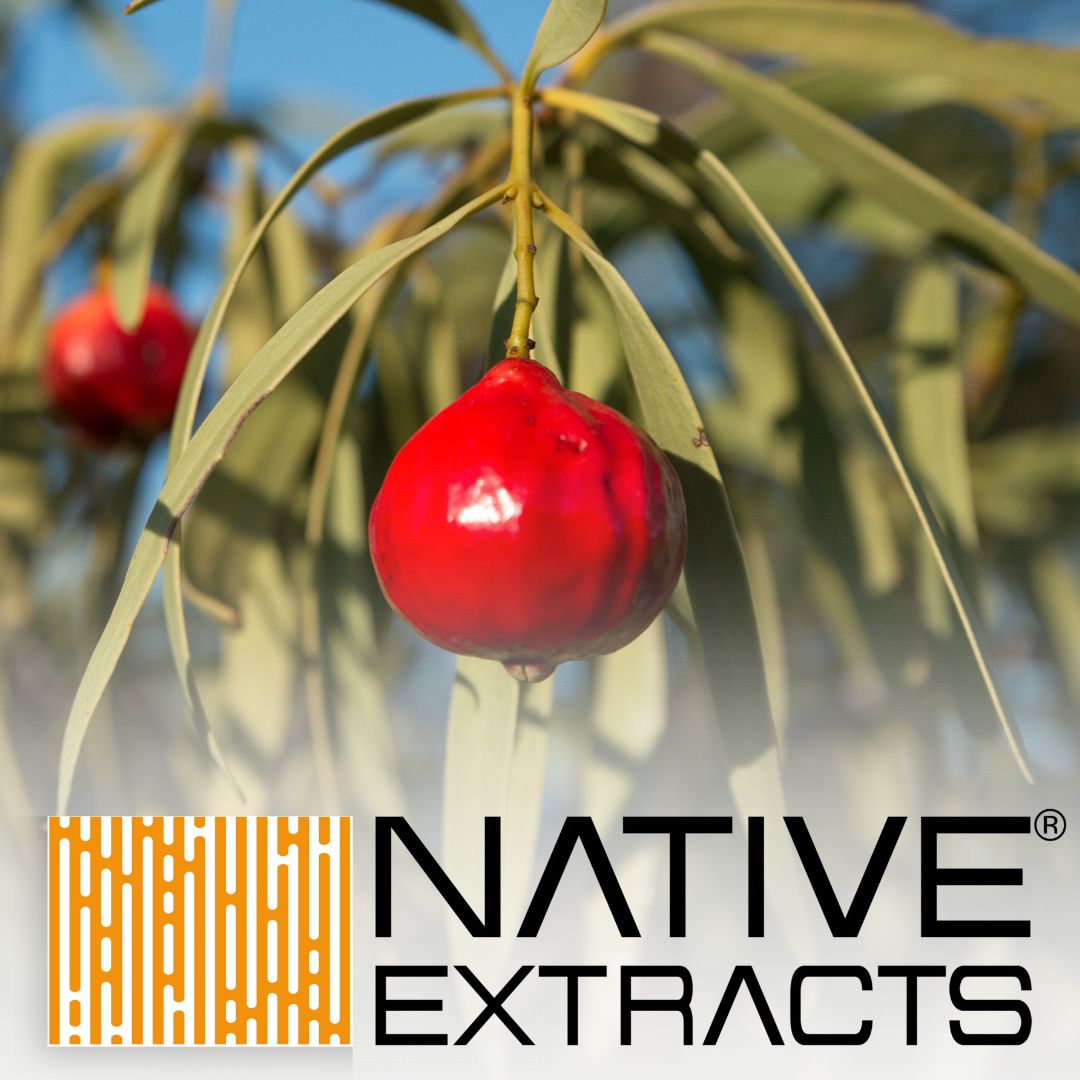 Quandong Cellular Extract | Native Vitamin C Skincare – NAP – NATURALLY AUSTRALIAN PRODUCTS