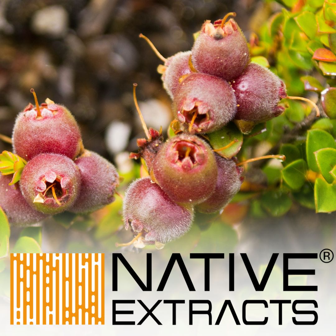 Emu Apple Cellular Extract | Native Extracts – NAP Distributor – NATURALLY AUSTRALIAN PRODUCTS
