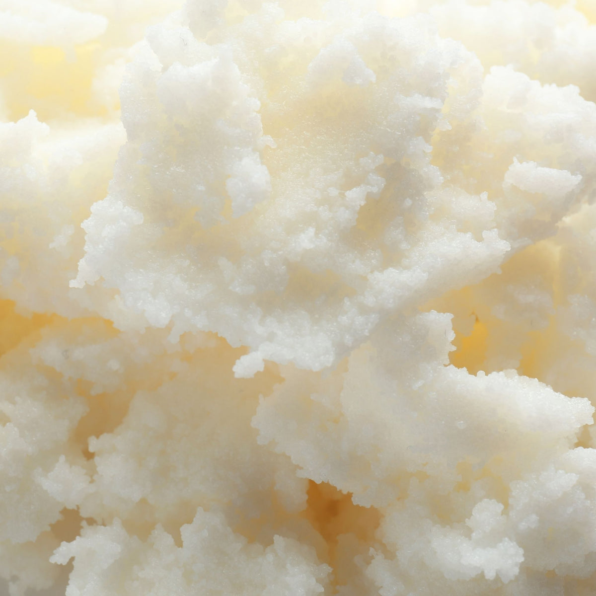 Bulk Illipe Nut Butter – NATURALLY AUSTRALIAN PRODUCTS