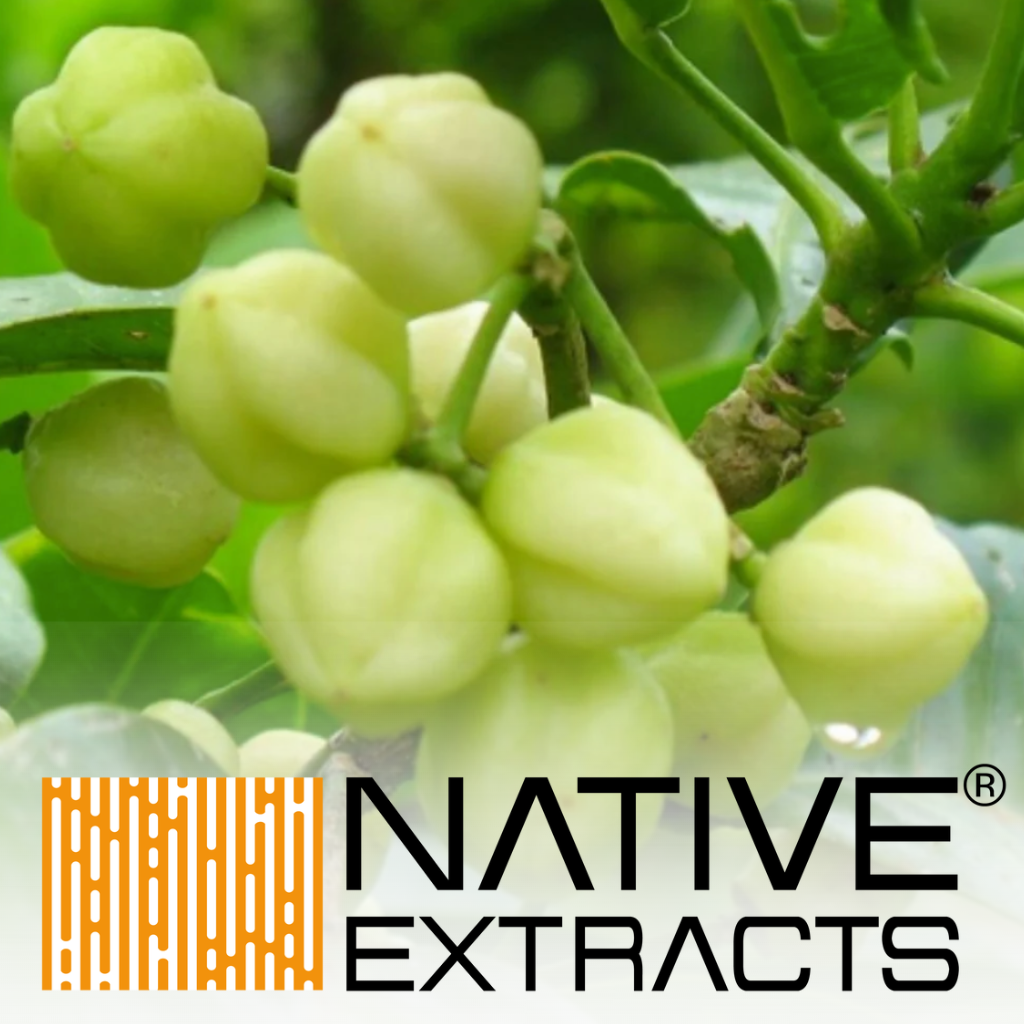 Lemon Aspen Cellular Extract – NATURALLY AUSTRALIAN PRODUCTS