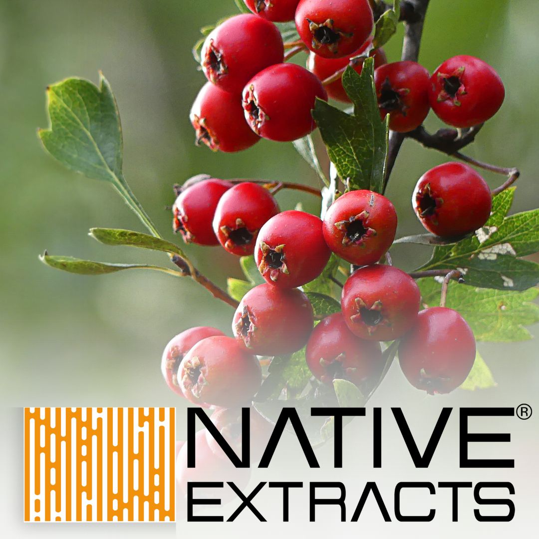 Lilli Pilli Cellular Extract | Vitamin C-Rich Native Brightening ...