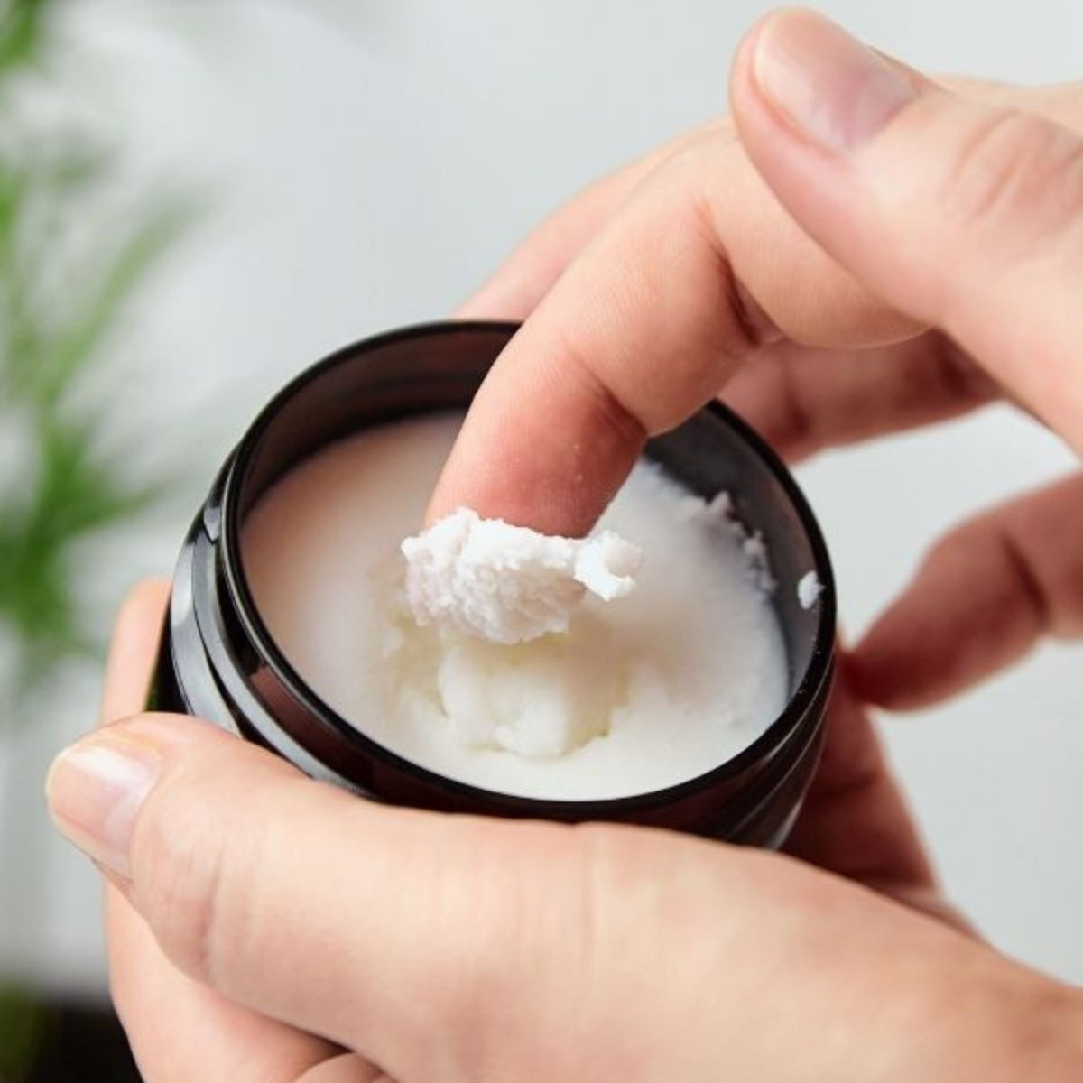 Pure Ucuuba Butter – NATURALLY AUSTRALIAN PRODUCTS